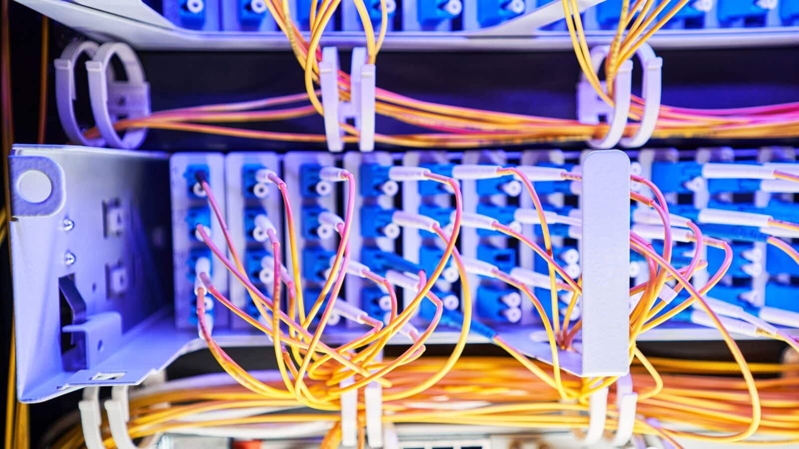 Enhancing Network Performance: Cable Management, Tracing, and Labelling ...